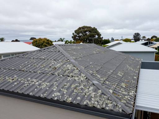 Home | Roof Restoration